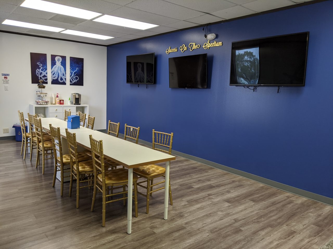 Parent Viewing Room: Transparency in Therapy